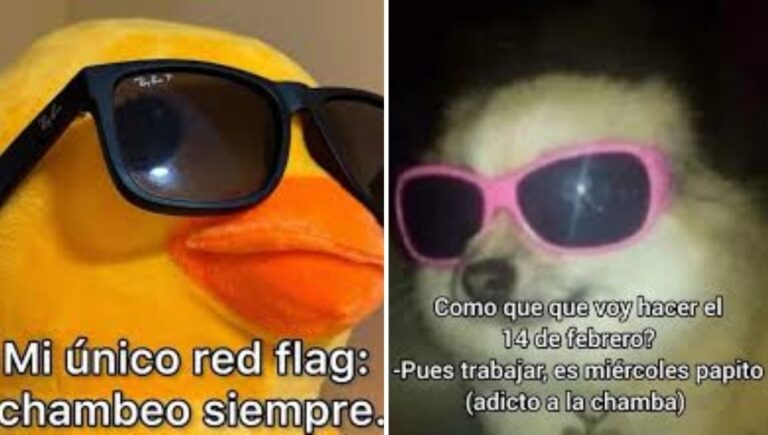 "Soy adicto a la chamba": los mejores MEMES con frases chambeadoras de ...